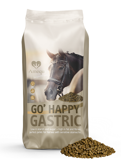 AMEQU GO Happy Gastric. 15kg sæk